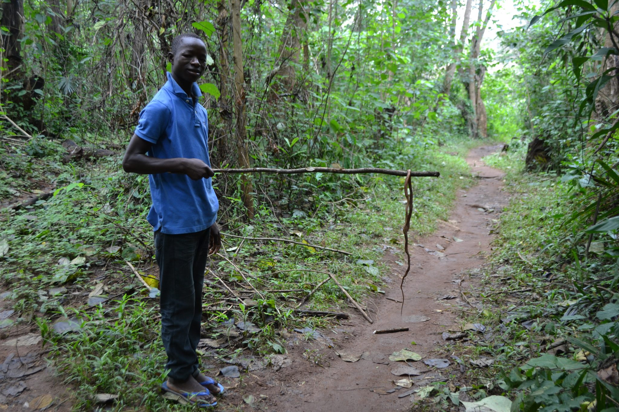 Photos: Sierra Leone Countryside – Sierra Leone: Inside the War